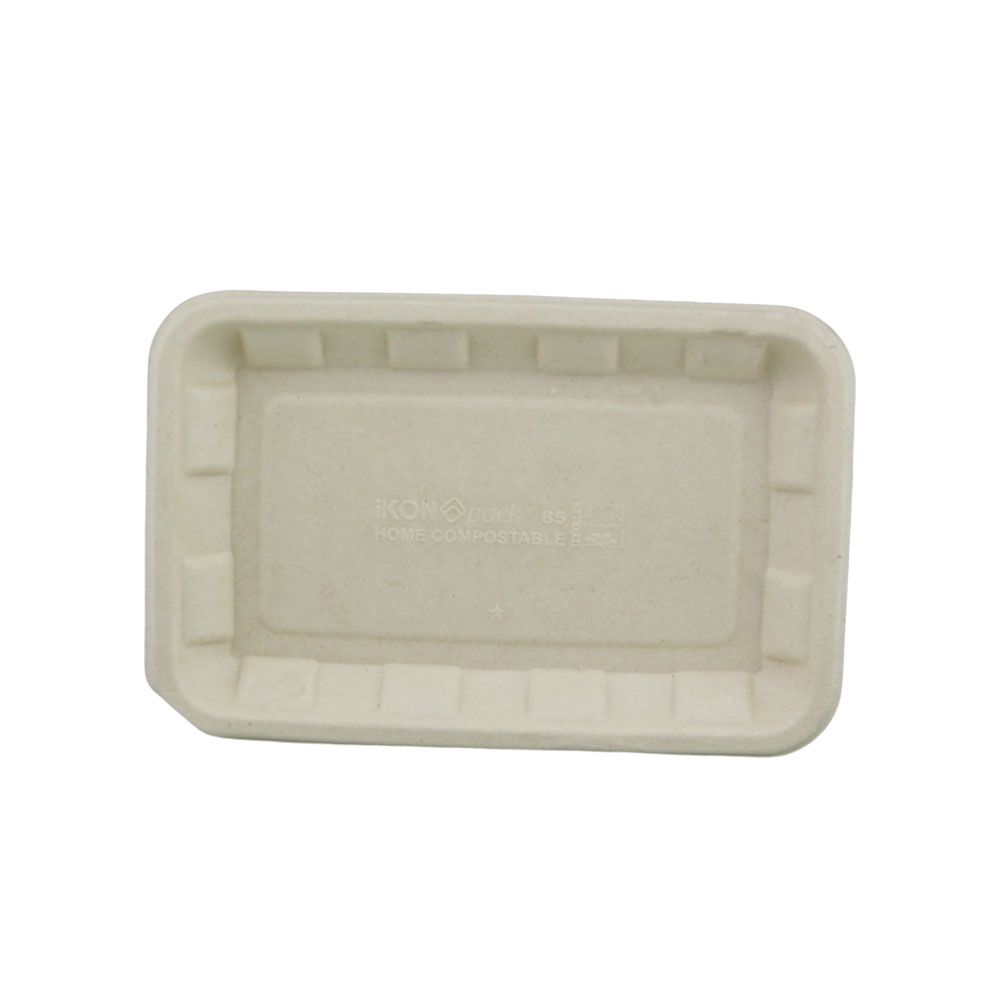 SUGAR CANE TRAYS – Quality Food Packaging